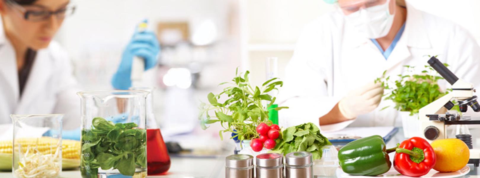 IGIENE DEGLI ALIMENTI (HACCP) - GESTIONE SICUREZZA sas